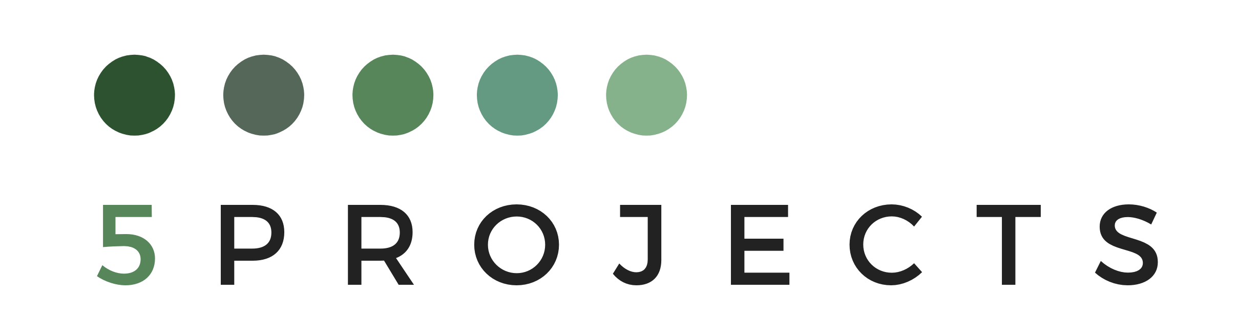 New Logo – 5 Projects
